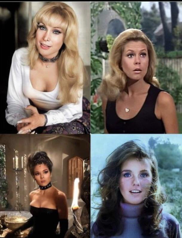 Barbara Eden vs Elizabeth Montgomery vs Diana Rigg vs Dawn Wells, late ‘60s/early ‘70s - 9GAG