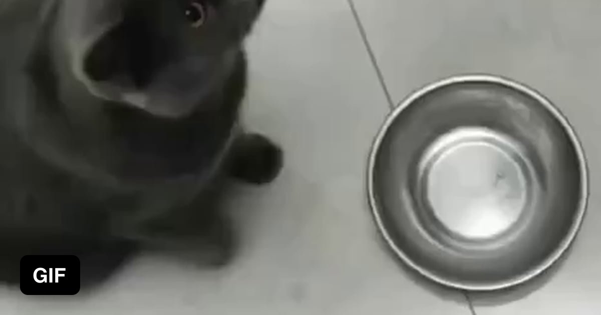 You put it here, here... - 9GAG