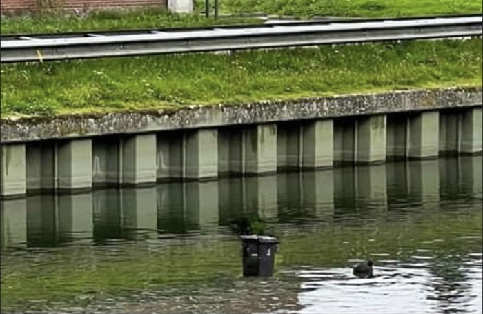 Two heroes throw speed camera hidden in trash bin in canal. - 9GAG