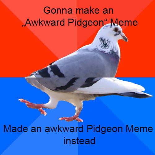 Let me introduce the socially awkward pidgeon. - 9GAG