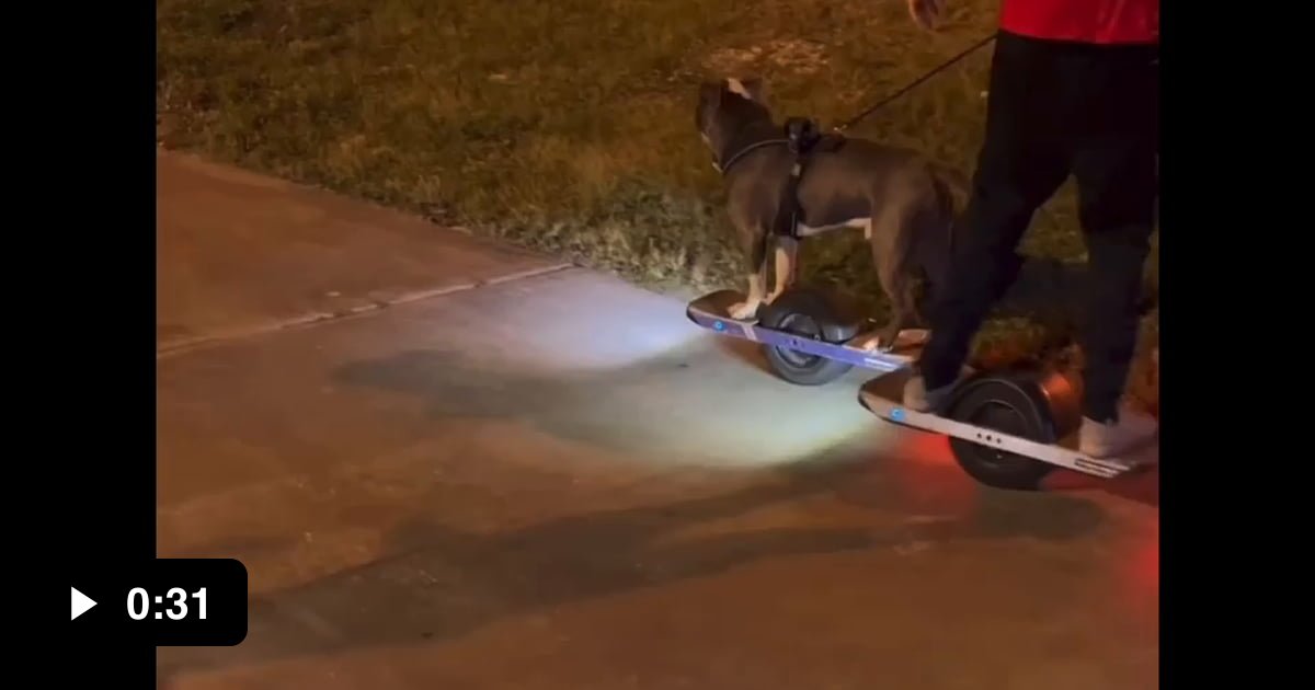 Dog learns to use a OneWheel. - 9GAG