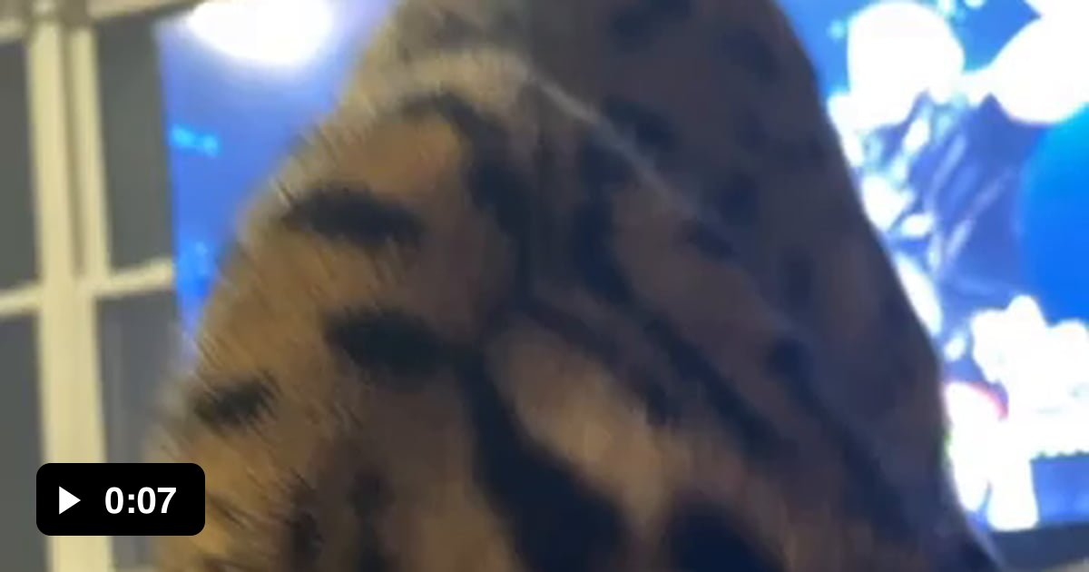 Camera Shy 9gag