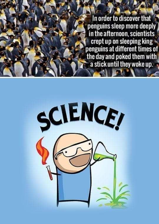 If not same stick then have to repeat experiment - 9GAG