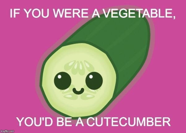Cutecumber 🥺 - 9GAG