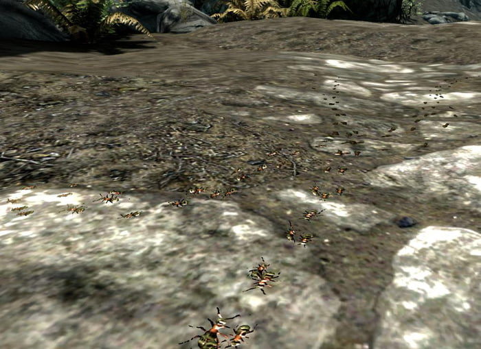 In Skyrim, there are tiny ant trails on some roads and tree stumps. - 9GAG