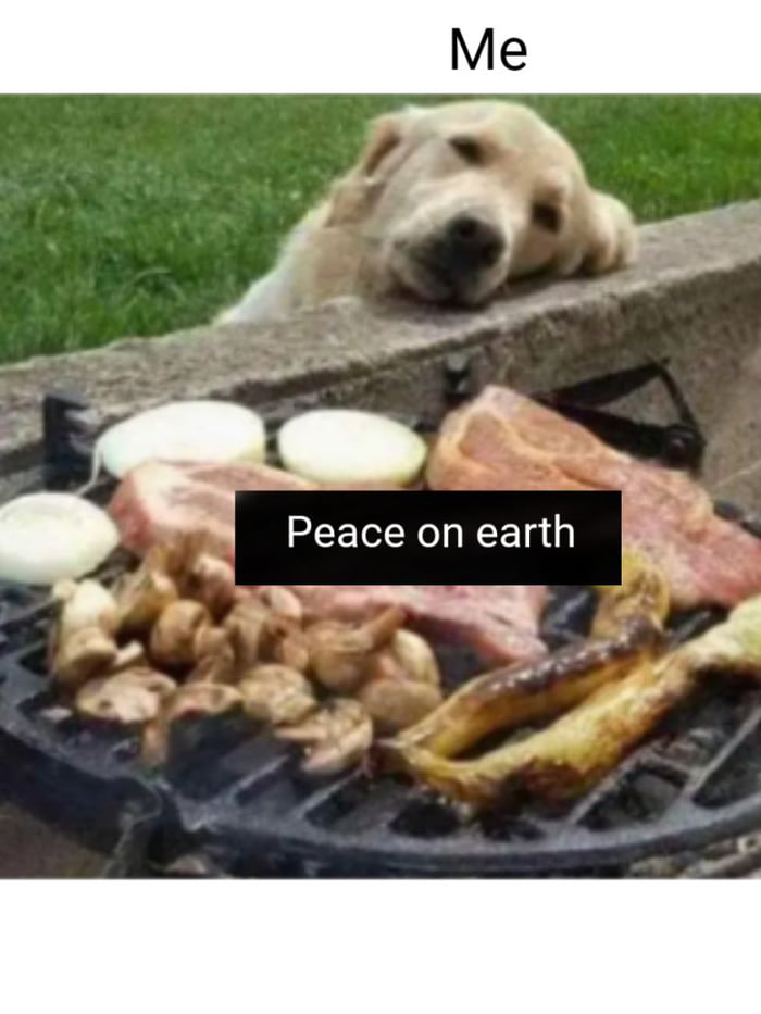 Too Much 9gag 6403