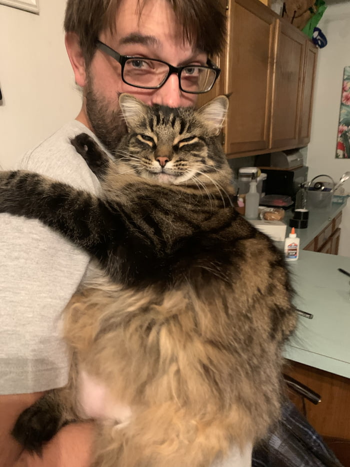 Are fat cat, her nickname is meatball - 9GAG