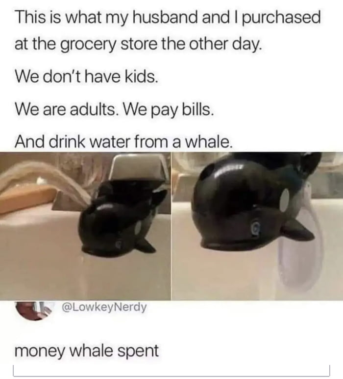 Best purchase ever - 9GAG