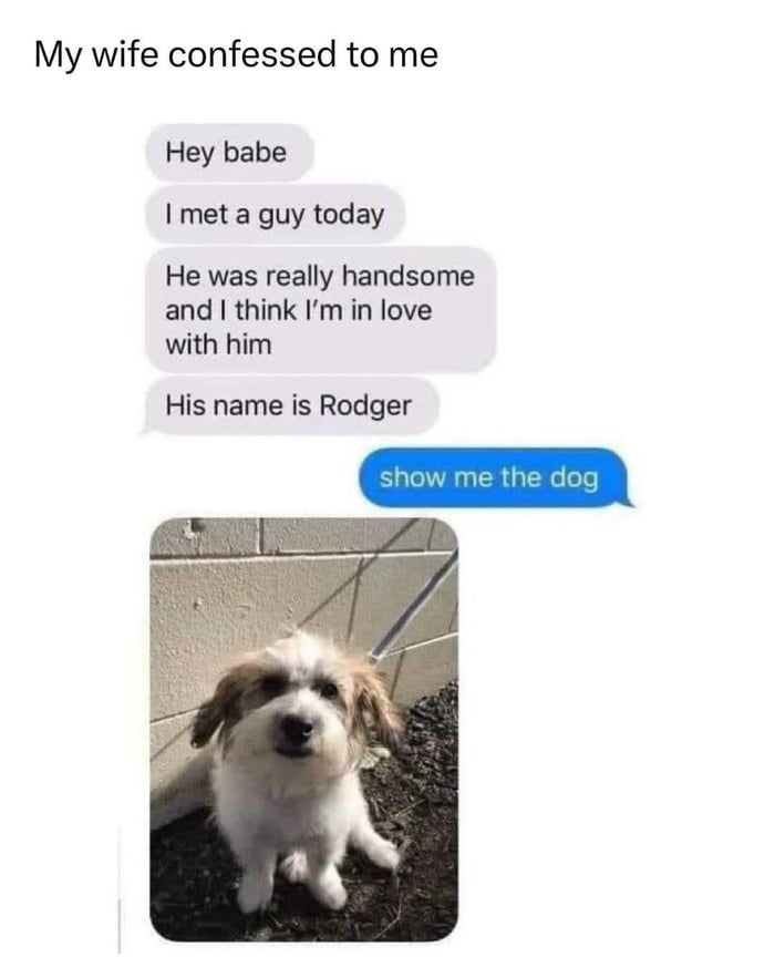 Poor dog 😂 - 9GAG