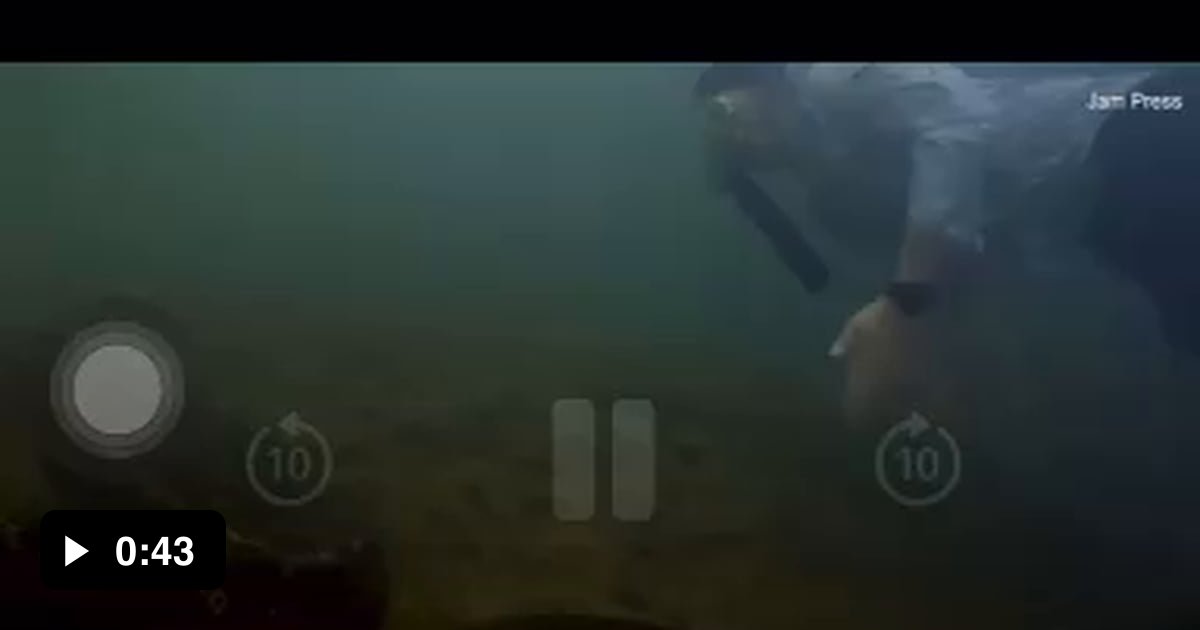 The world's largest snake has been discovered in the Amazon Rainforest ...