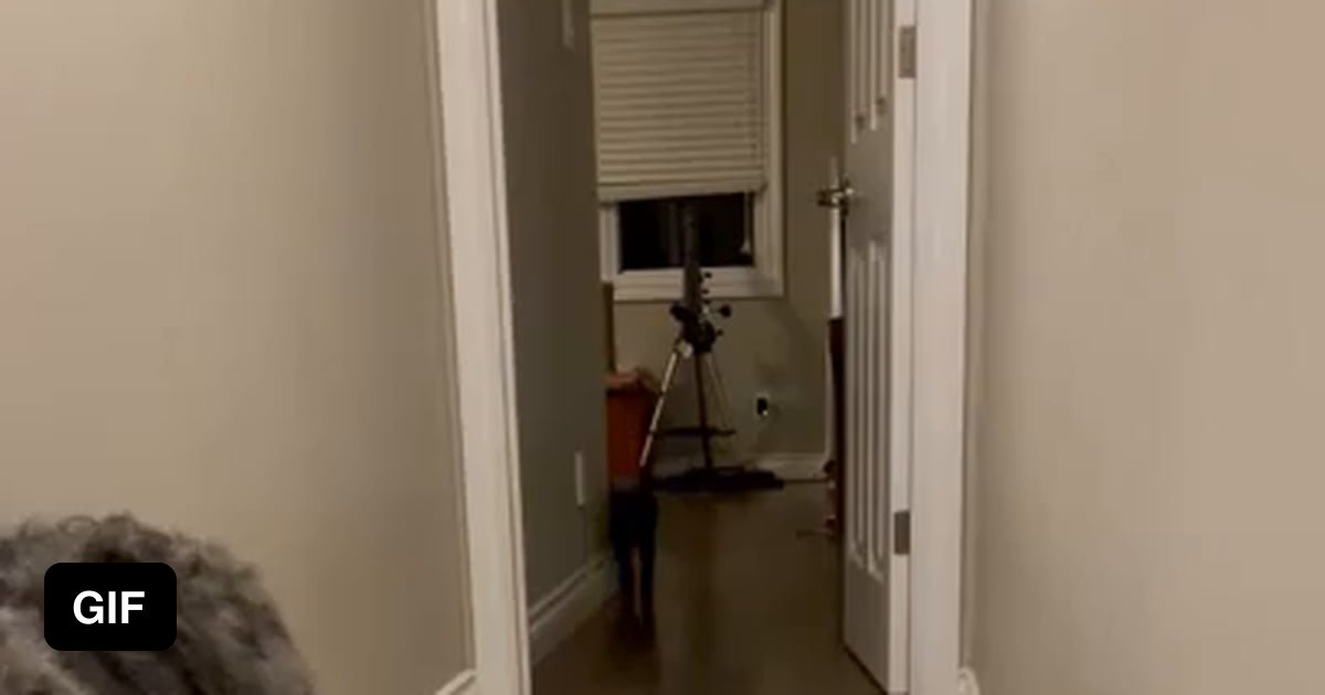 Sneak Attack!!!!!!!!!!!!!!!!! - 9GAG