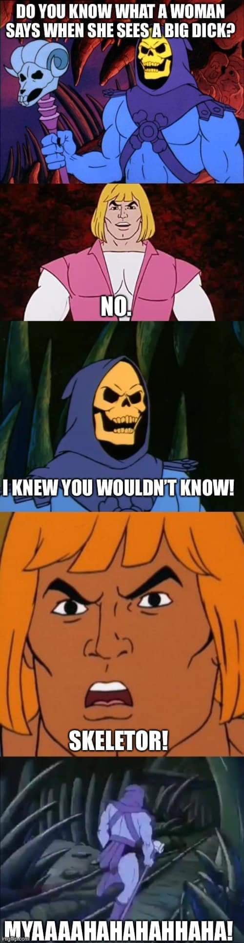 Skeletor strikes again - 9GAG