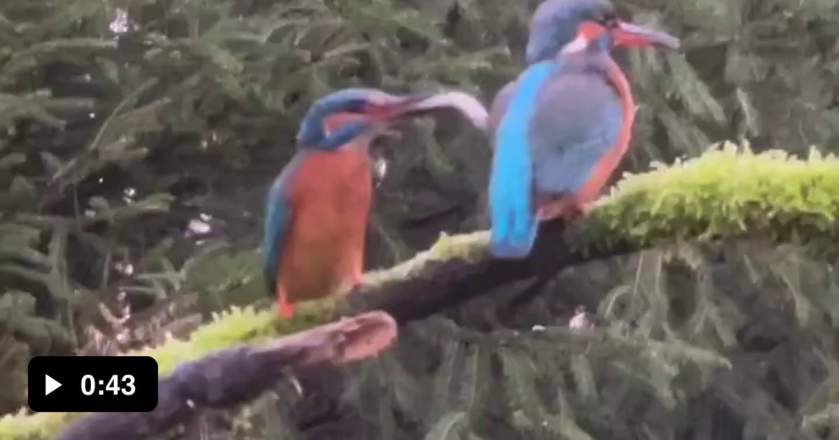 This is why I choose to be single. Yep. For sure - 9GAG