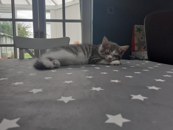 It’s where he does his best thinking - 9GAG