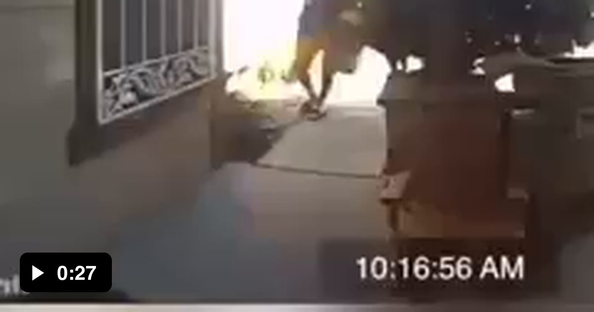 Big chonky boi - 9GAG