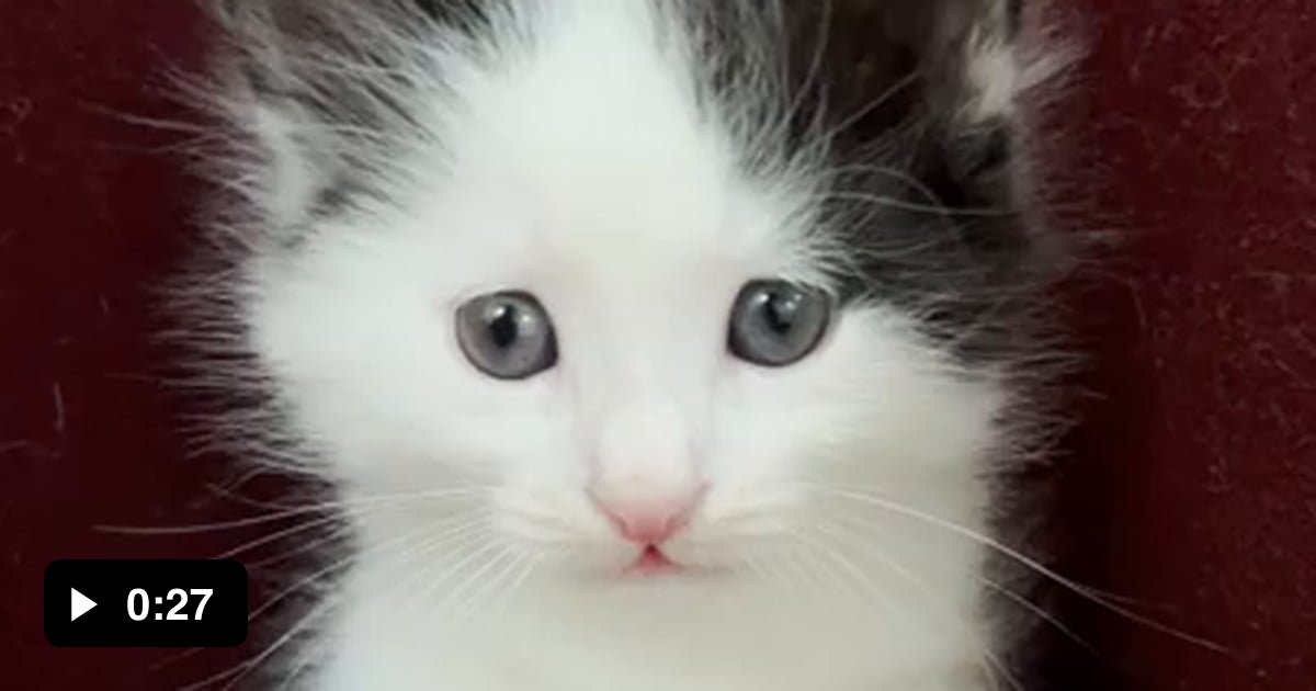 Criminal sentences to the static chair. - 9GAG