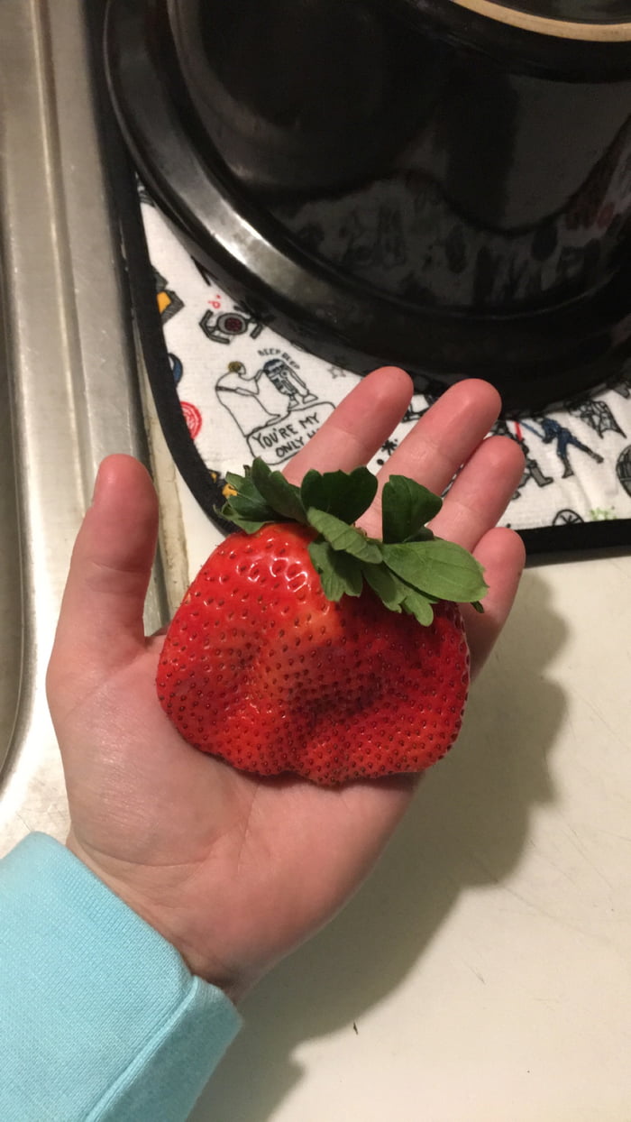 Monster berry - 9GAG