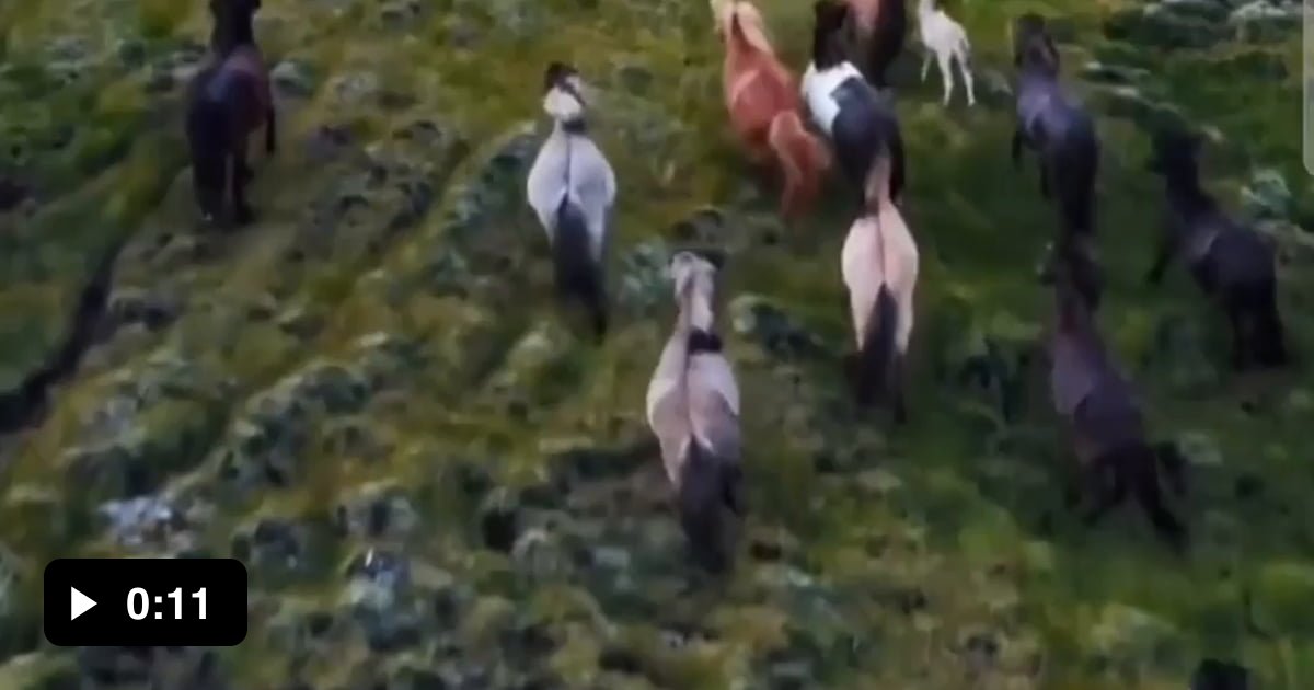 Rohan, Home of The Horse Lords. - 9GAG