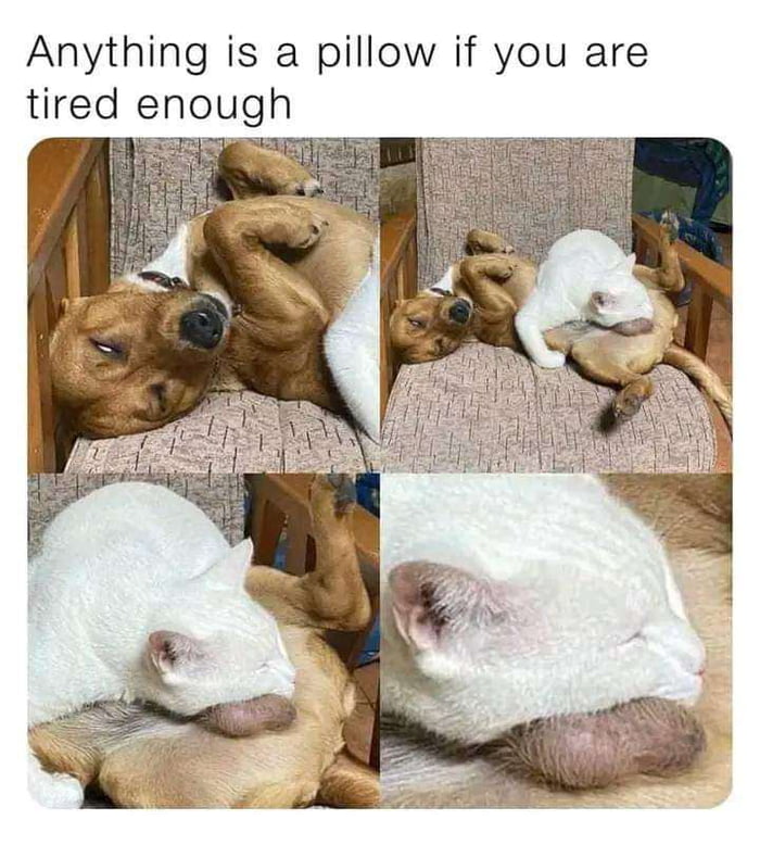 It's time to hit the sack - 9GAG