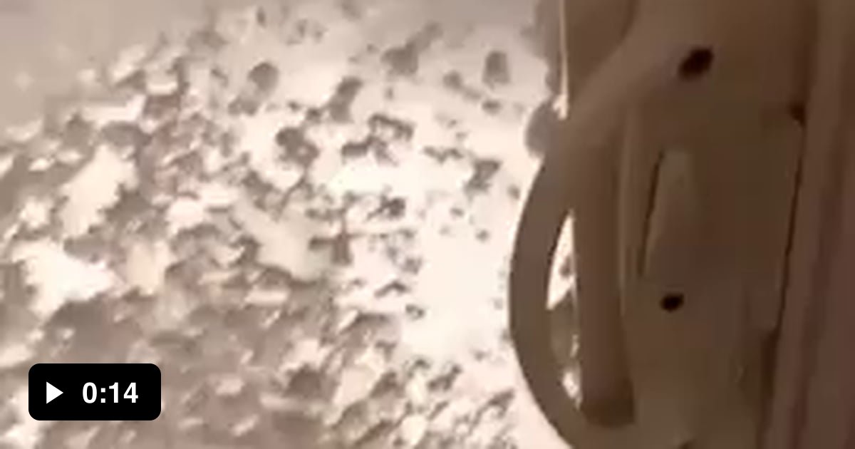 Finally, some decent weather - 9GAG