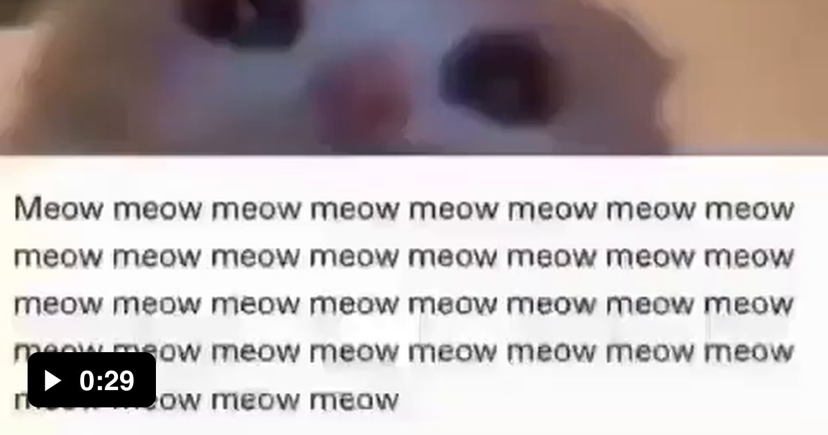 Meow - 9GAG