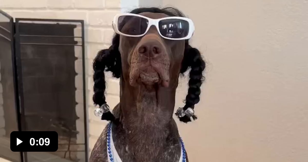 That's a dawg - 9GAG