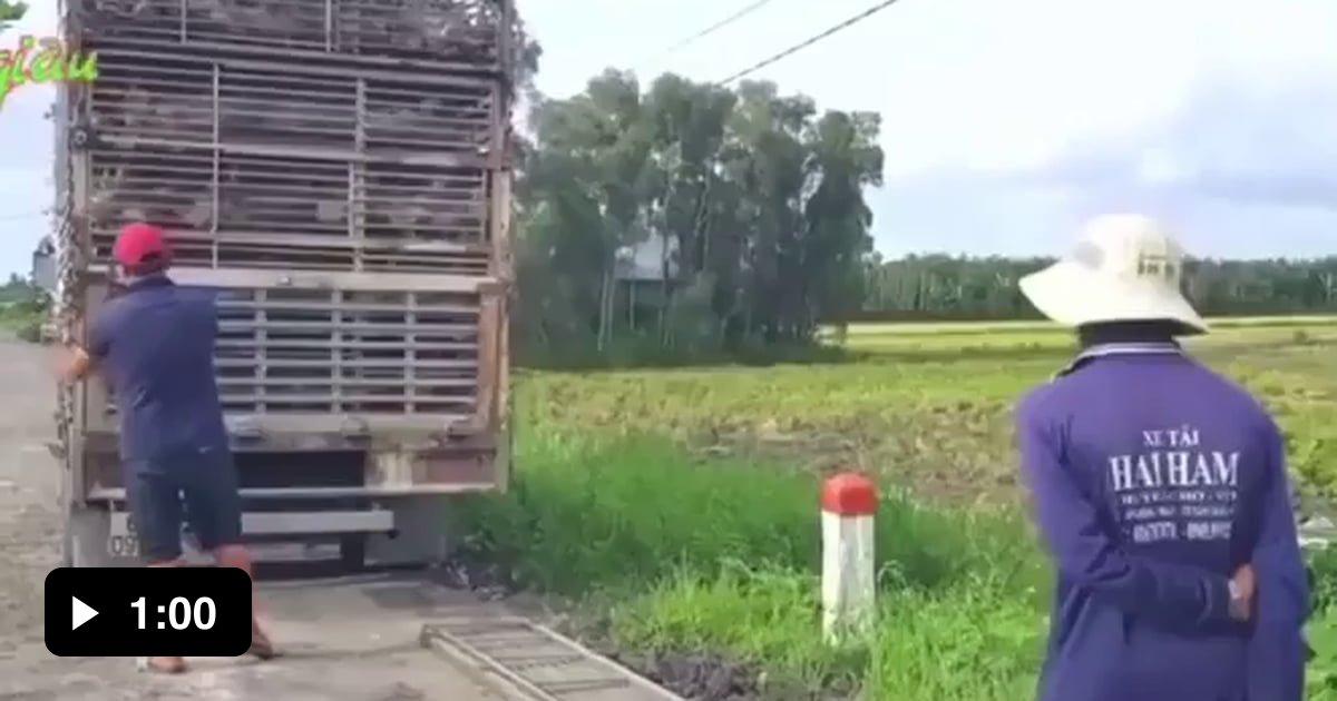 A whole bunch of tippy taps going on here. - 9GAG