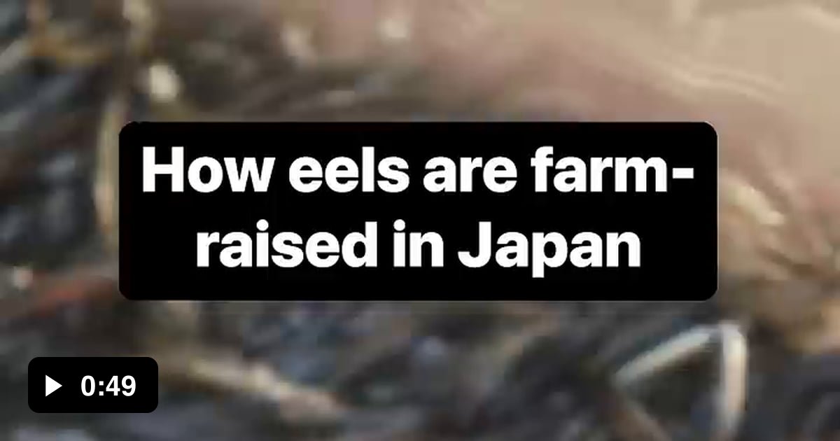 F eel the farm - 9GAG