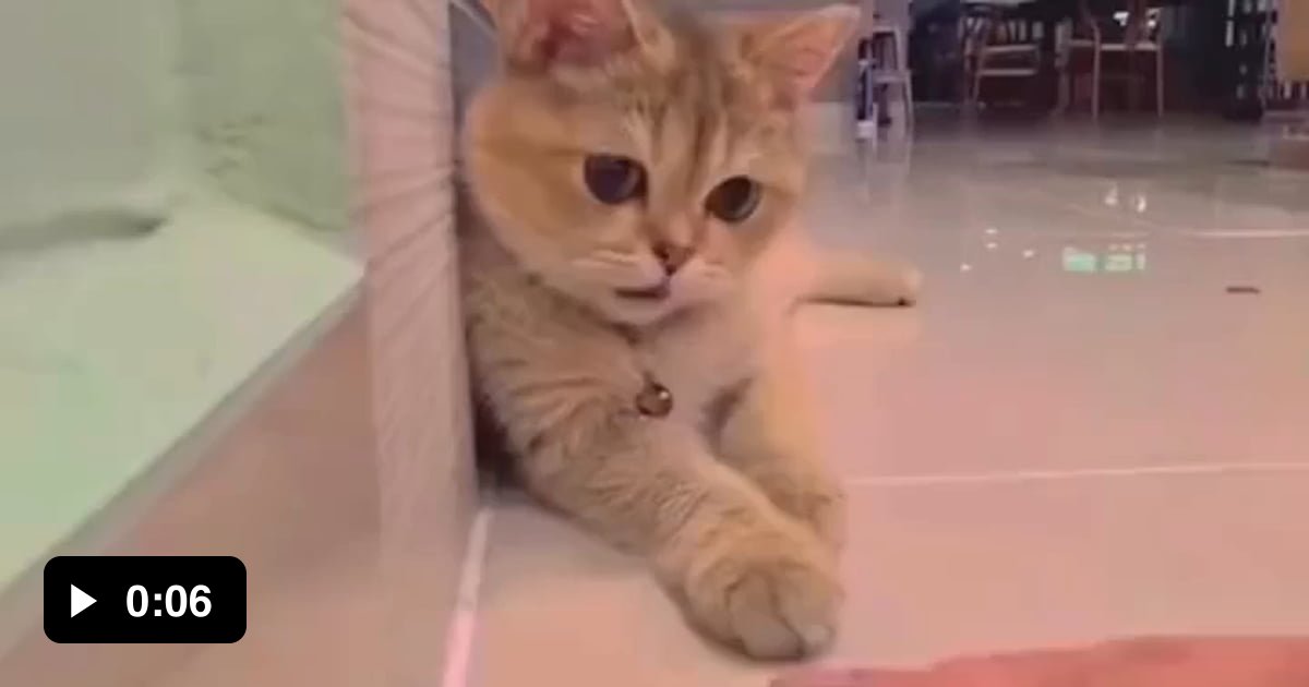 Quick learner.. great magician - 9GAG