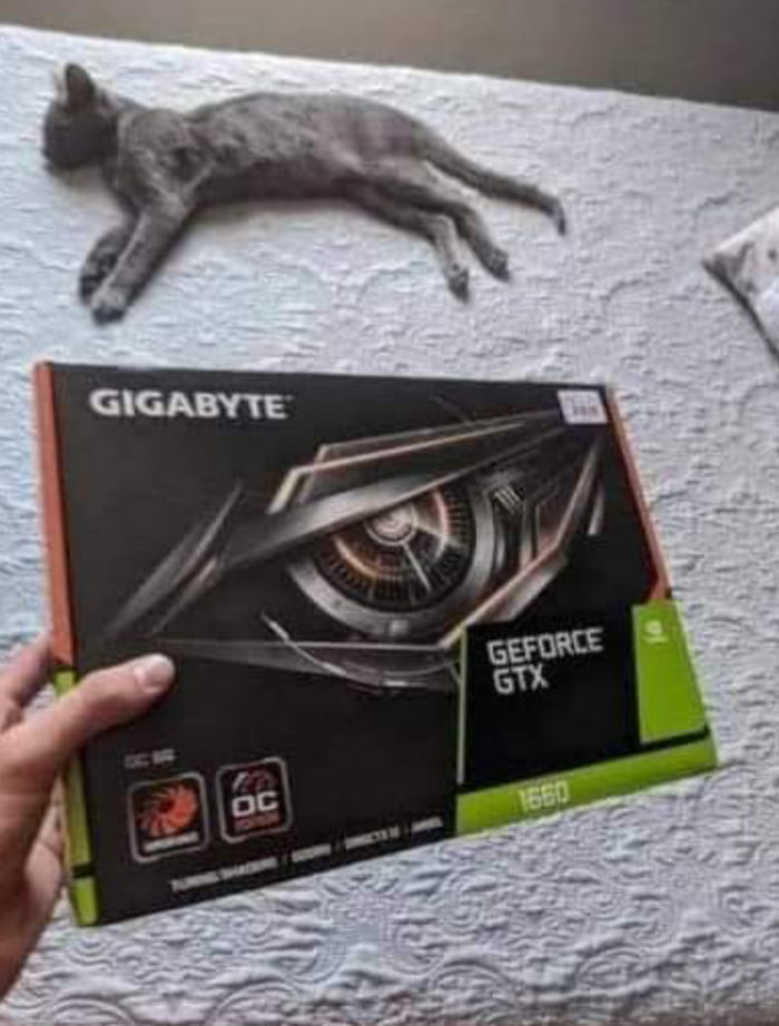 I'm so grateful! I finally bought my 1st graphics card - 9GAG