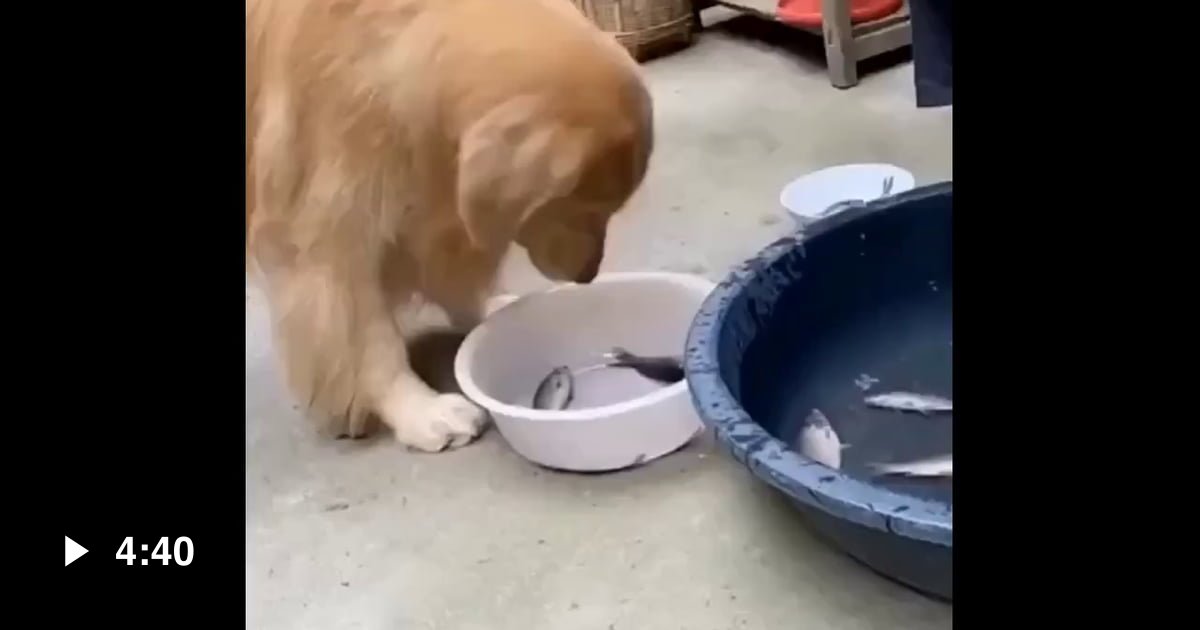 Here's a little video I put together to illustrate what comes to mind ...