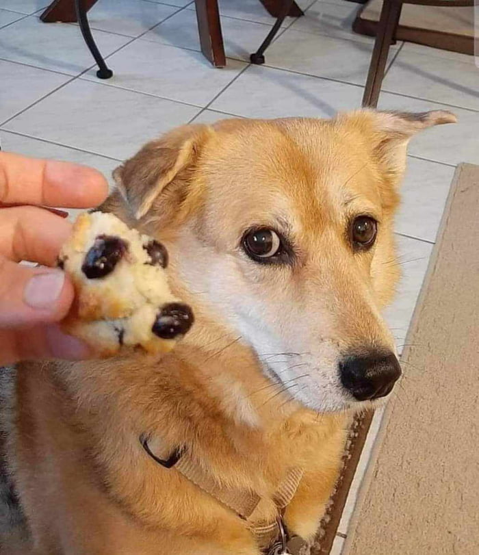 What item do you always pays extra on?and why? - 9GAG