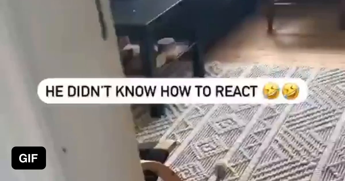 He didn't know how to react - 9GAG
