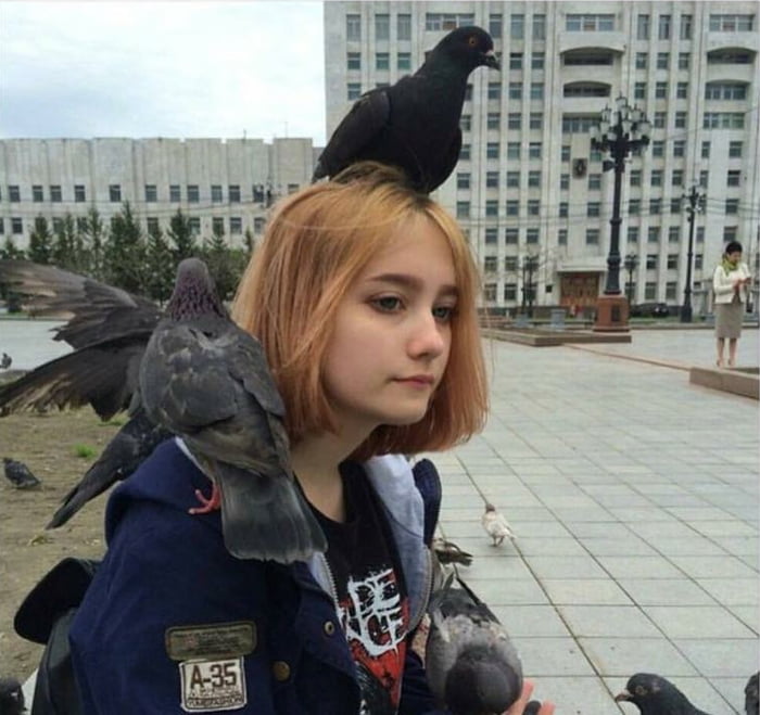 Pigeon leader - 9GAG
