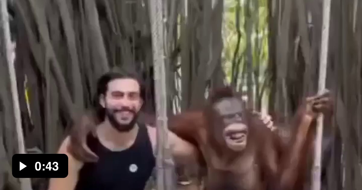 Monkey bros🤜🤛 - 9GAG