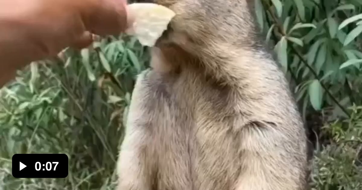 No, thanks bro! - 9GAG