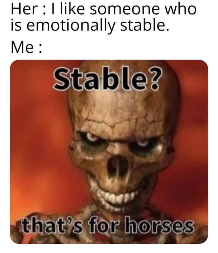 Emotionally Stable..... - 9GAG