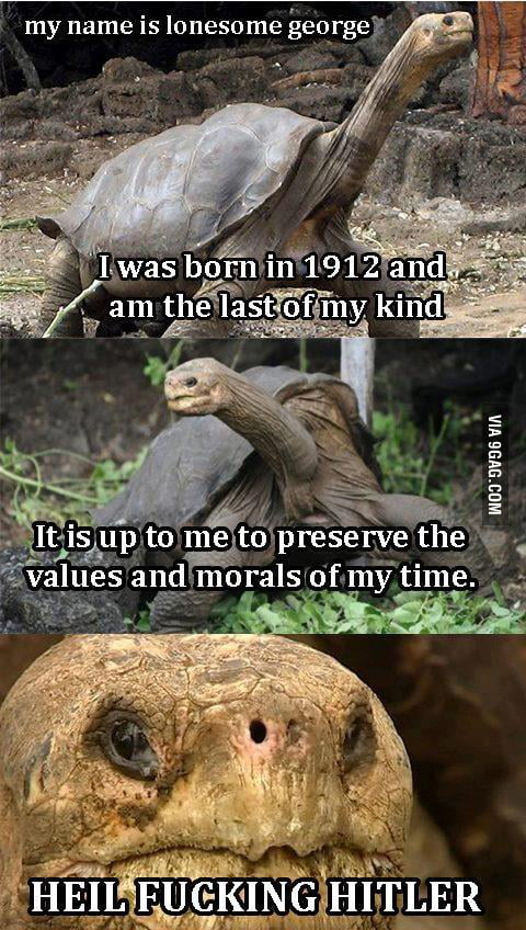 Traditional values - 9GAG