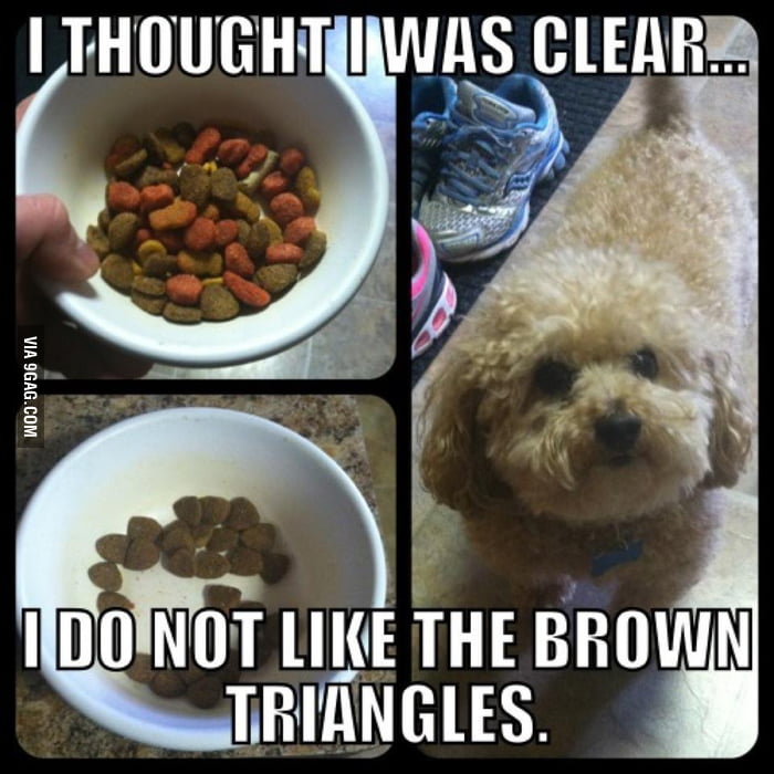 No one likes brown triangles - 9GAG
