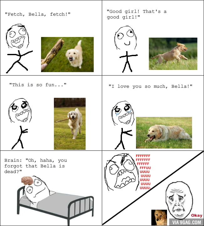 Playing "fetch" - 9GAG