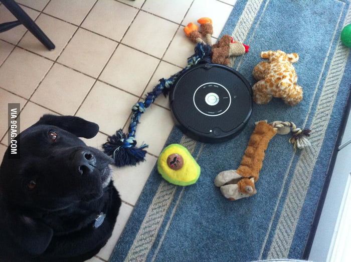 Came into the kitchen to find that my dog trapped the dead roomba with ...