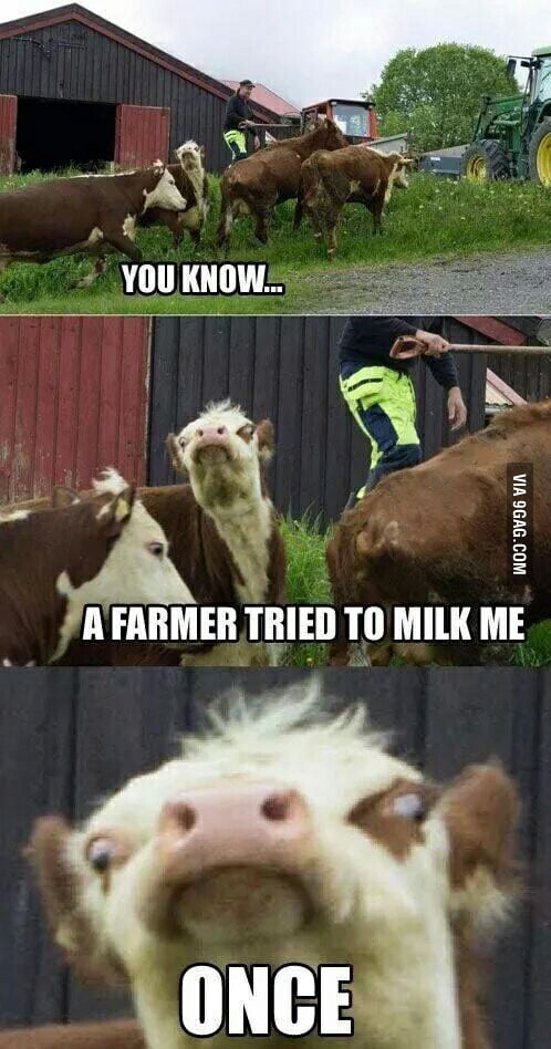 Dank Cow - 9GAG