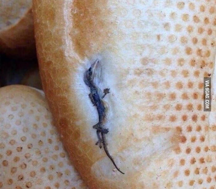 You might be rich but I bet you can't buy Lacoste bread like I do - 9GAG