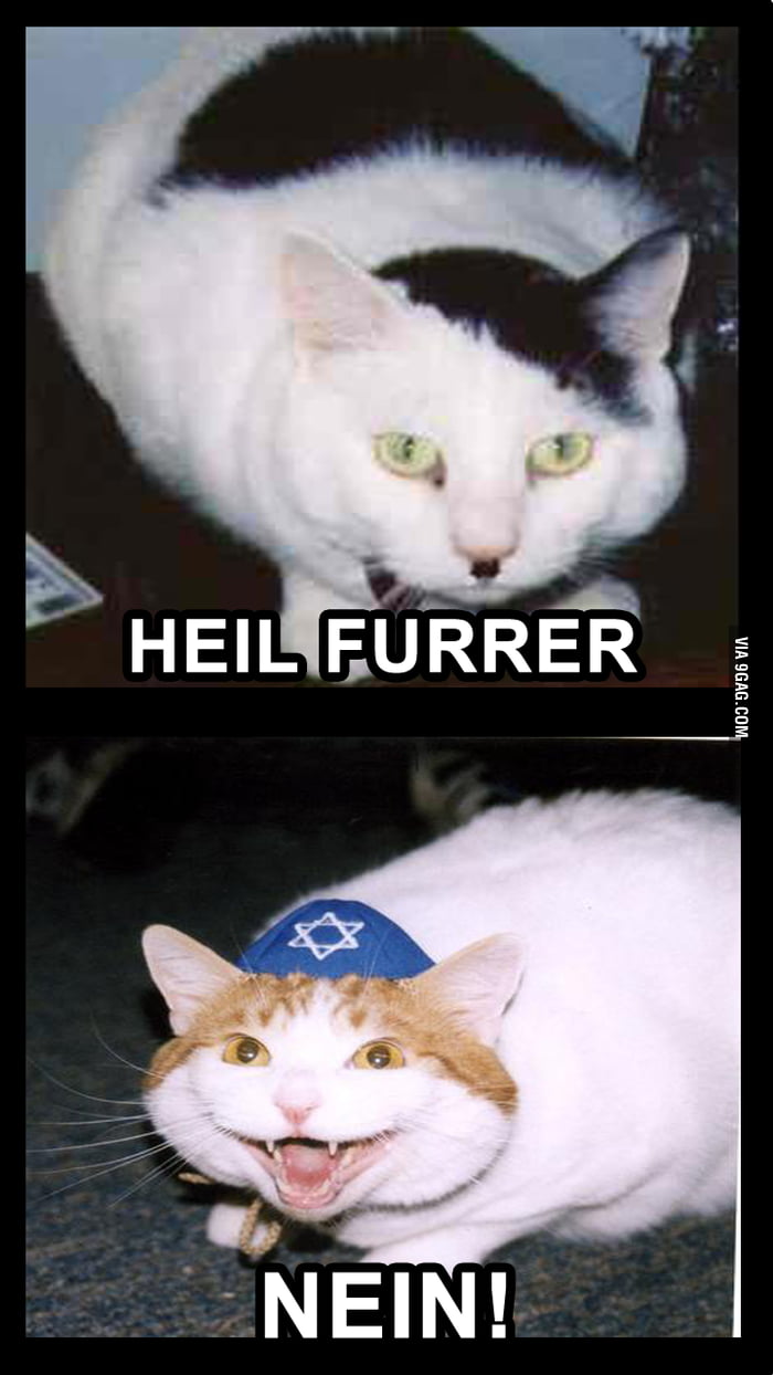 Mein furrer! - 9GAG