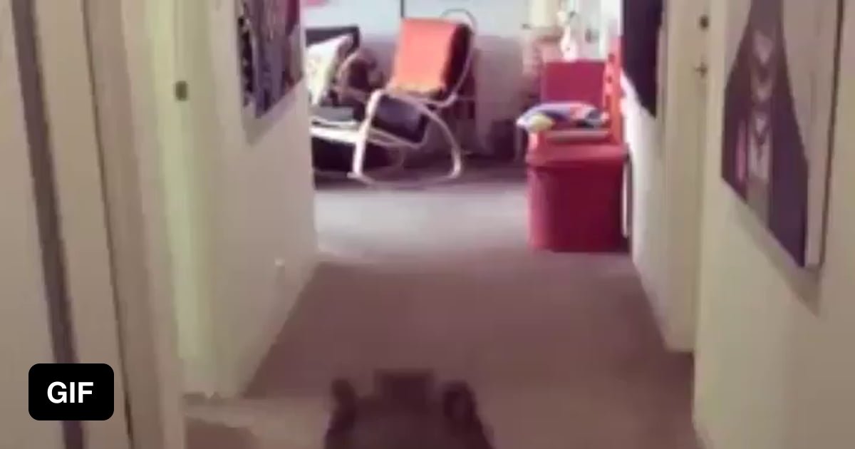 Playing hide and seek - 9GAG