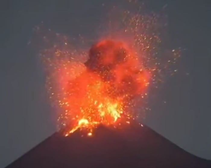 Who dat ninja? Fire puppy? - 9GAG