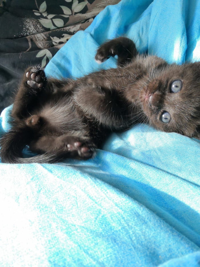 Stunning blue eyes - 9GAG