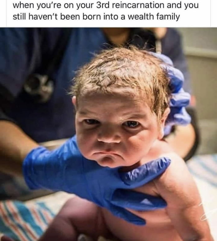 "Put me back!" - 9GAG