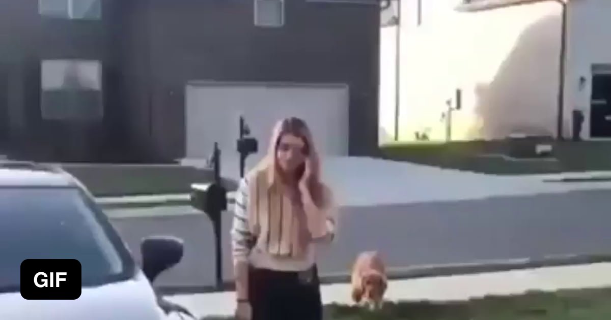 Master of the sneak attack. - 9GAG