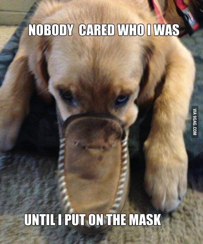 Platypus dog or Bane?! - 9GAG